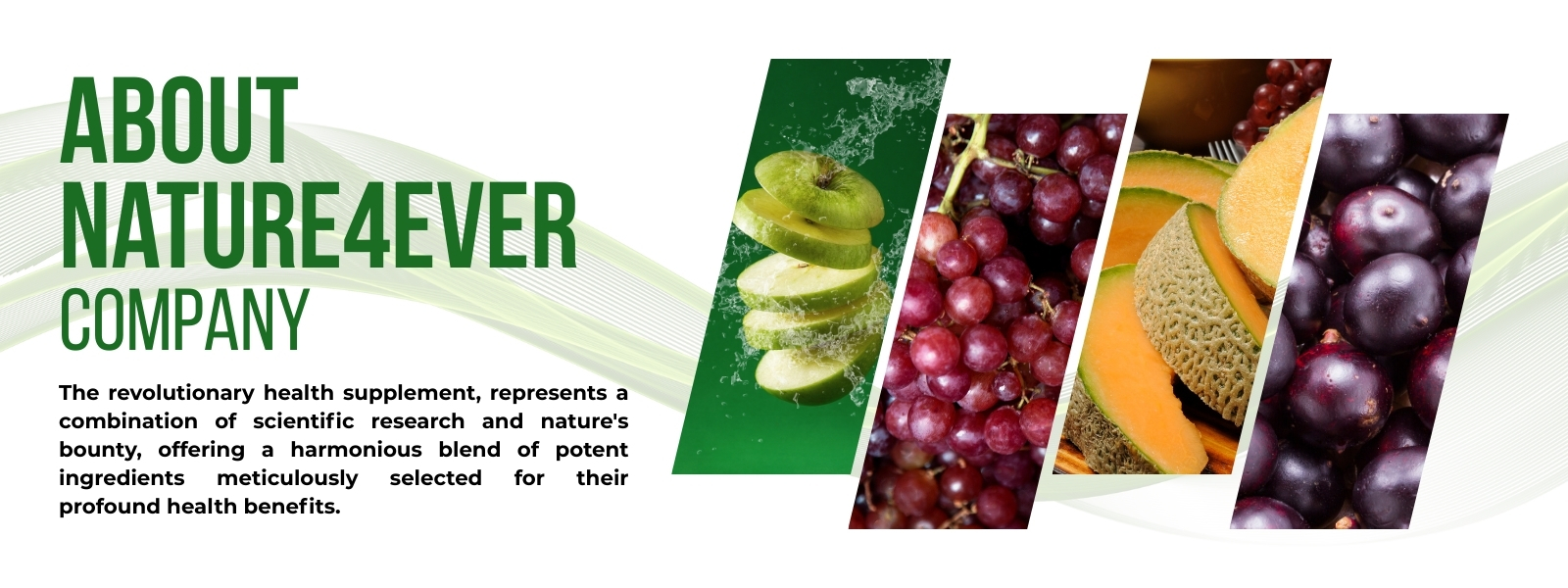 NATURE4EVER LIFE SCIENCES (OPC) PVT LTD